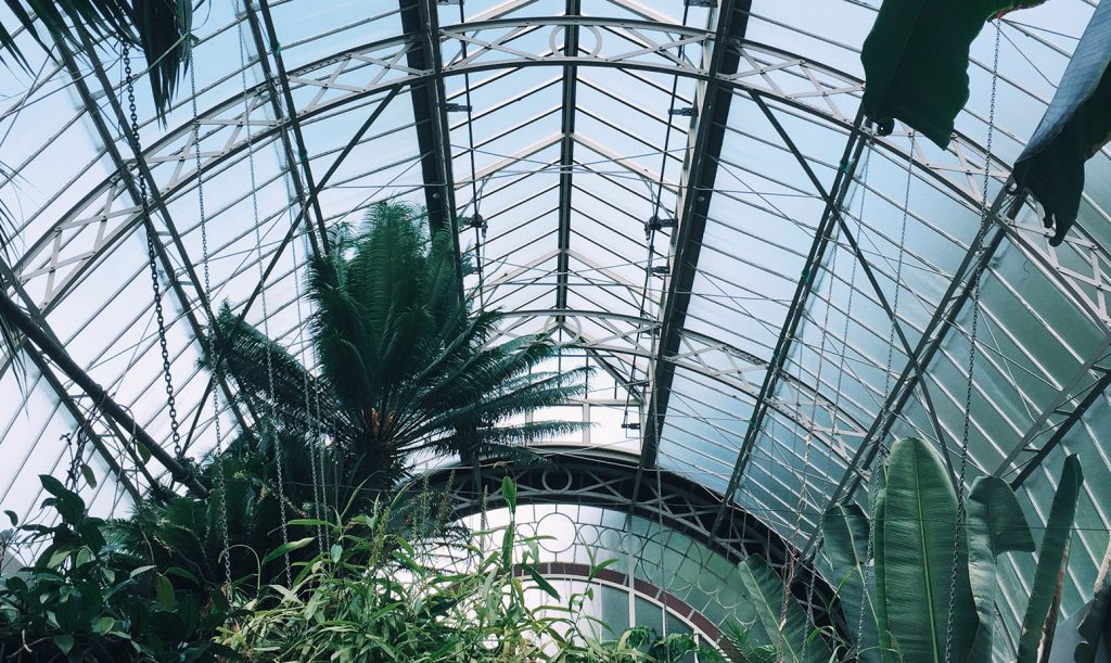 wintergarden-rrof – SURF-HECHT Boek